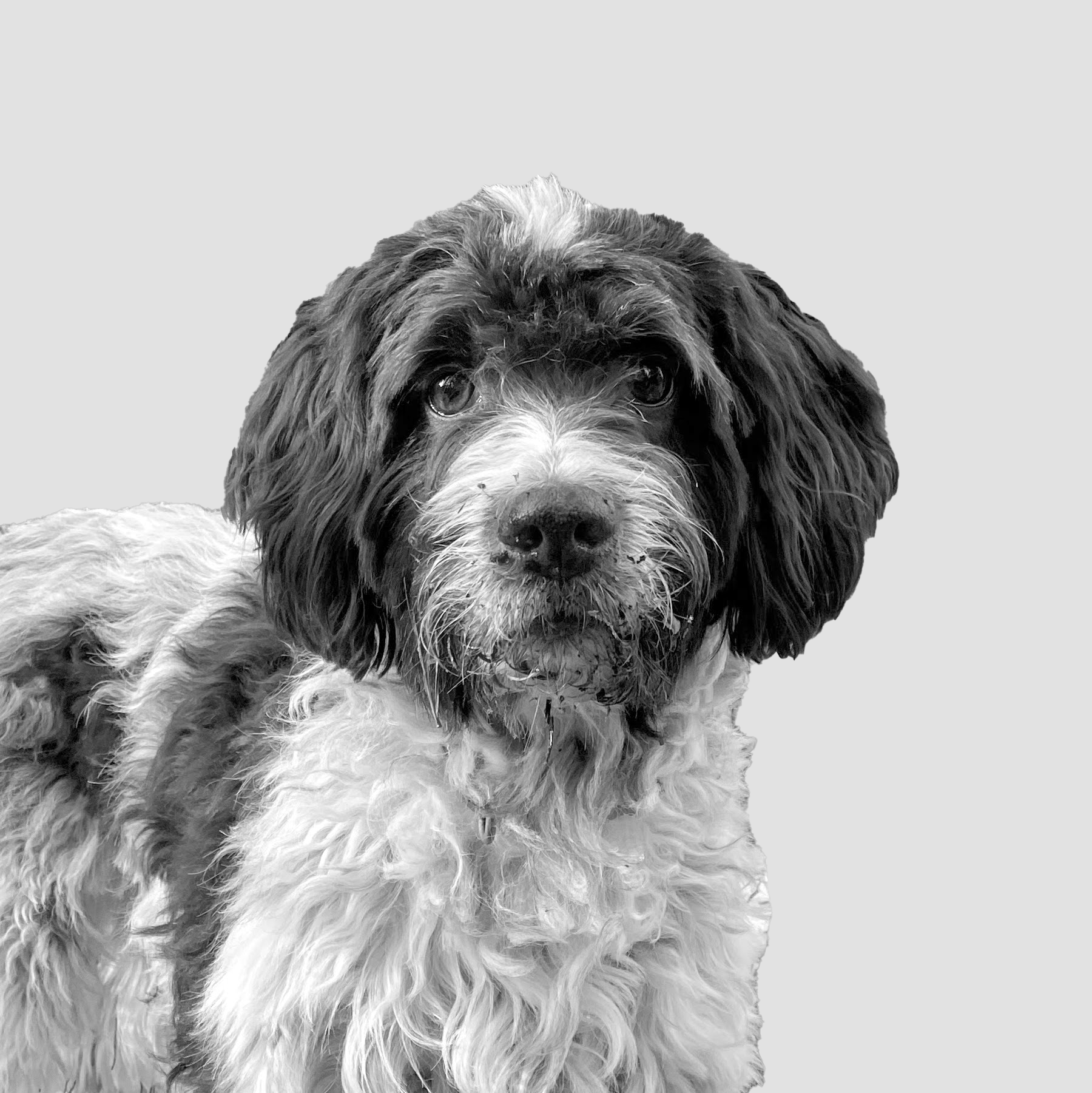 Gida | Avinode Group