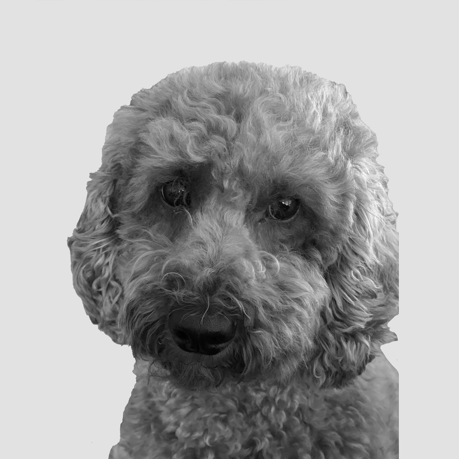 Mila | Avinode Group